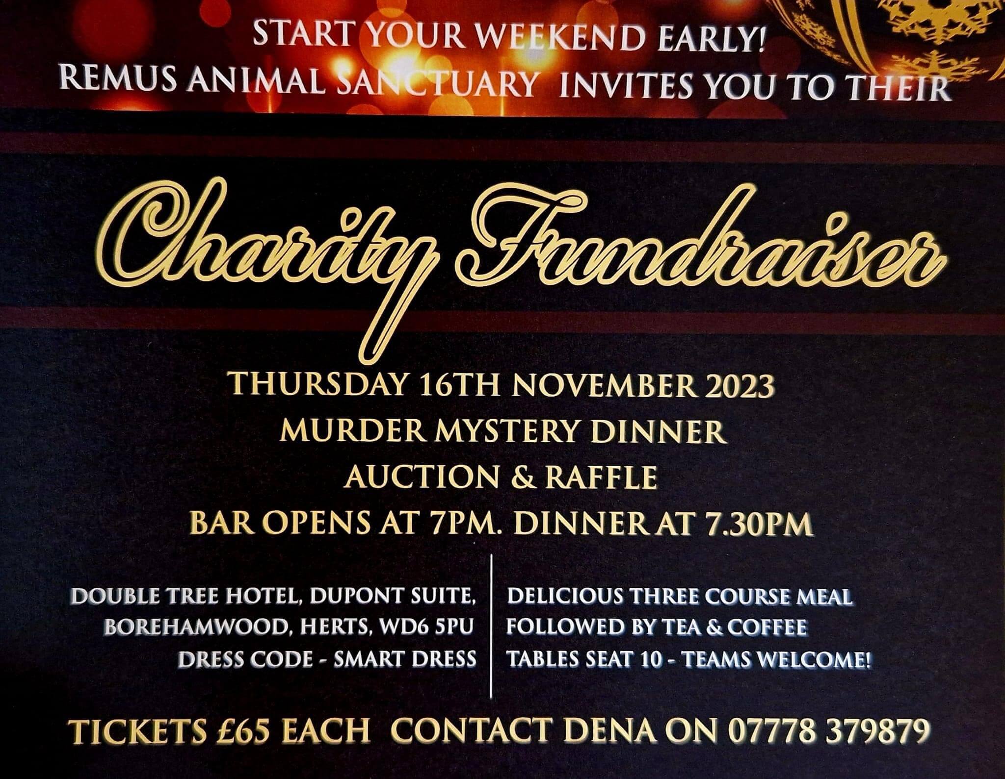 Other Fundraising Archives - Remus Horse Sanctuary